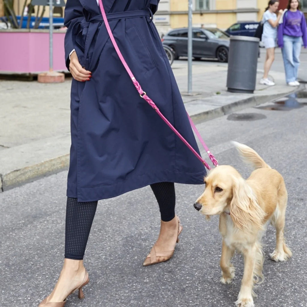 Warum Molly & Stitch Hundeleinen die beste Wahl sind – BARKLYN